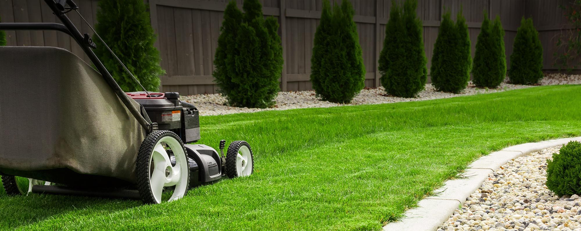 Services | Level Lawn