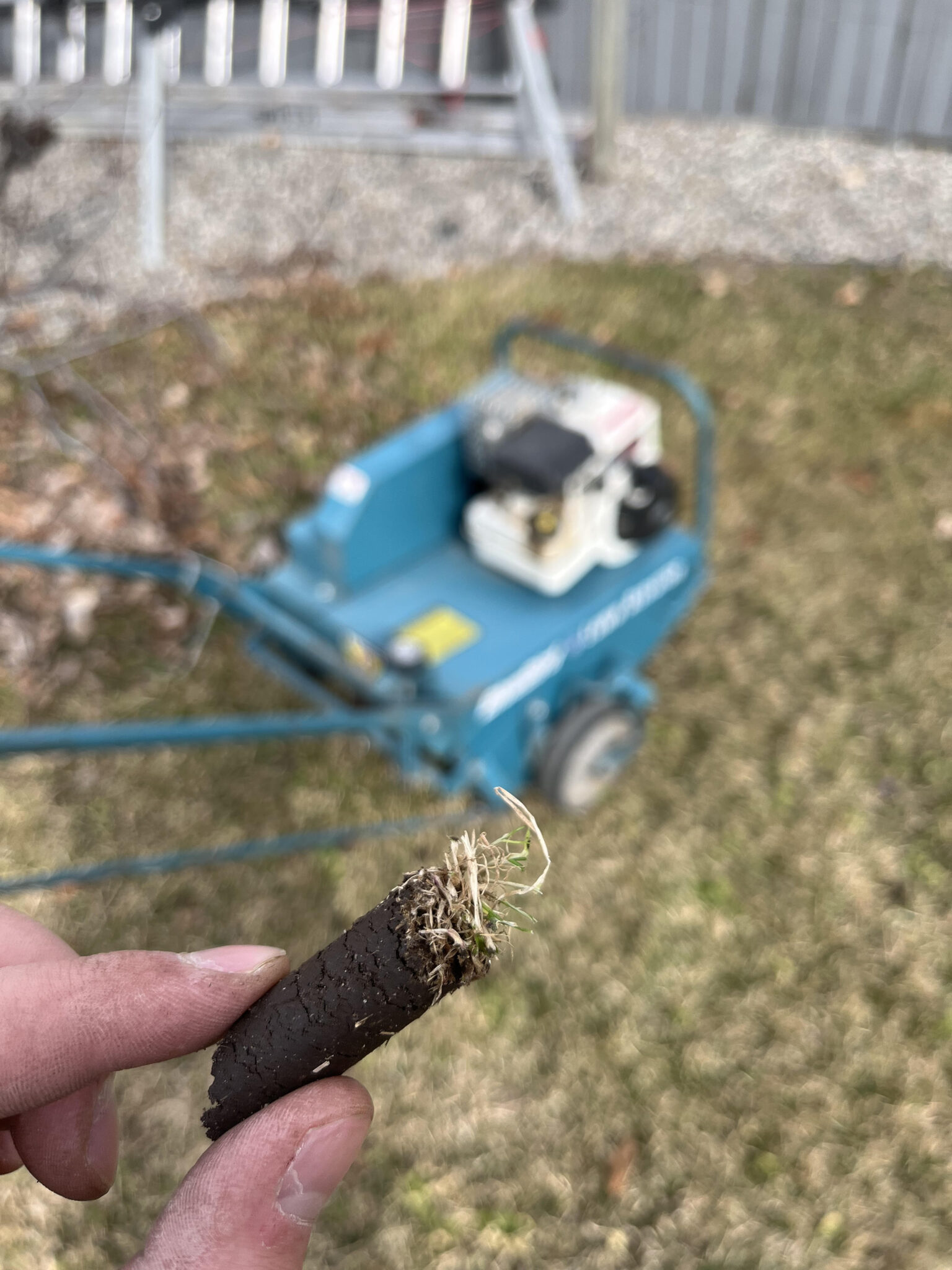 Lawn Care and Maintenance Services in Kelowna