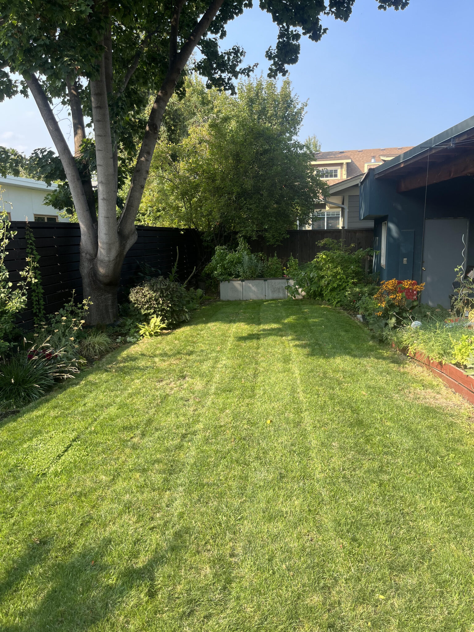 Lawn Care and Maintenance Services in Kelowna